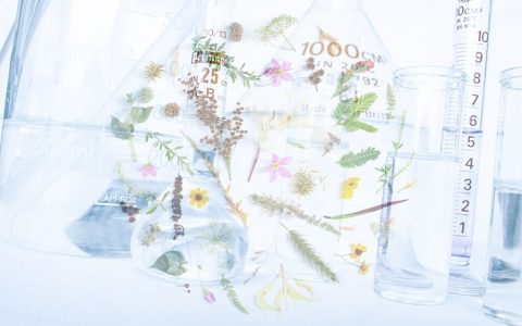 Proprietary Blend of Natural Ingredients - Bio-Vital